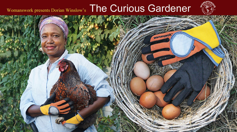 Yolanda Burrell's Teaching Garden – Womanswork
